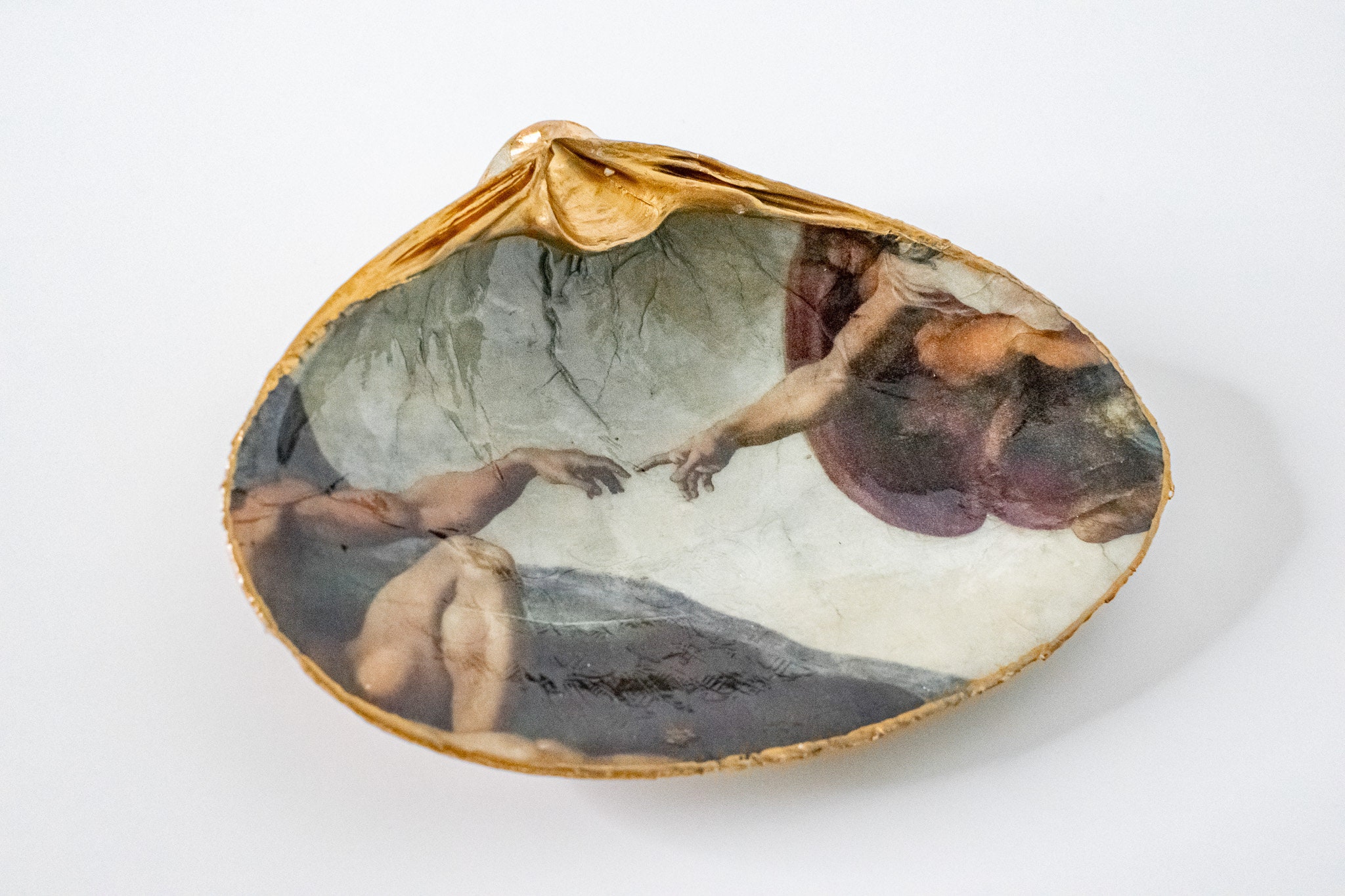 Creation of Adam Clam Shell Jewelry Dish Renaissance Art Decoupage ...