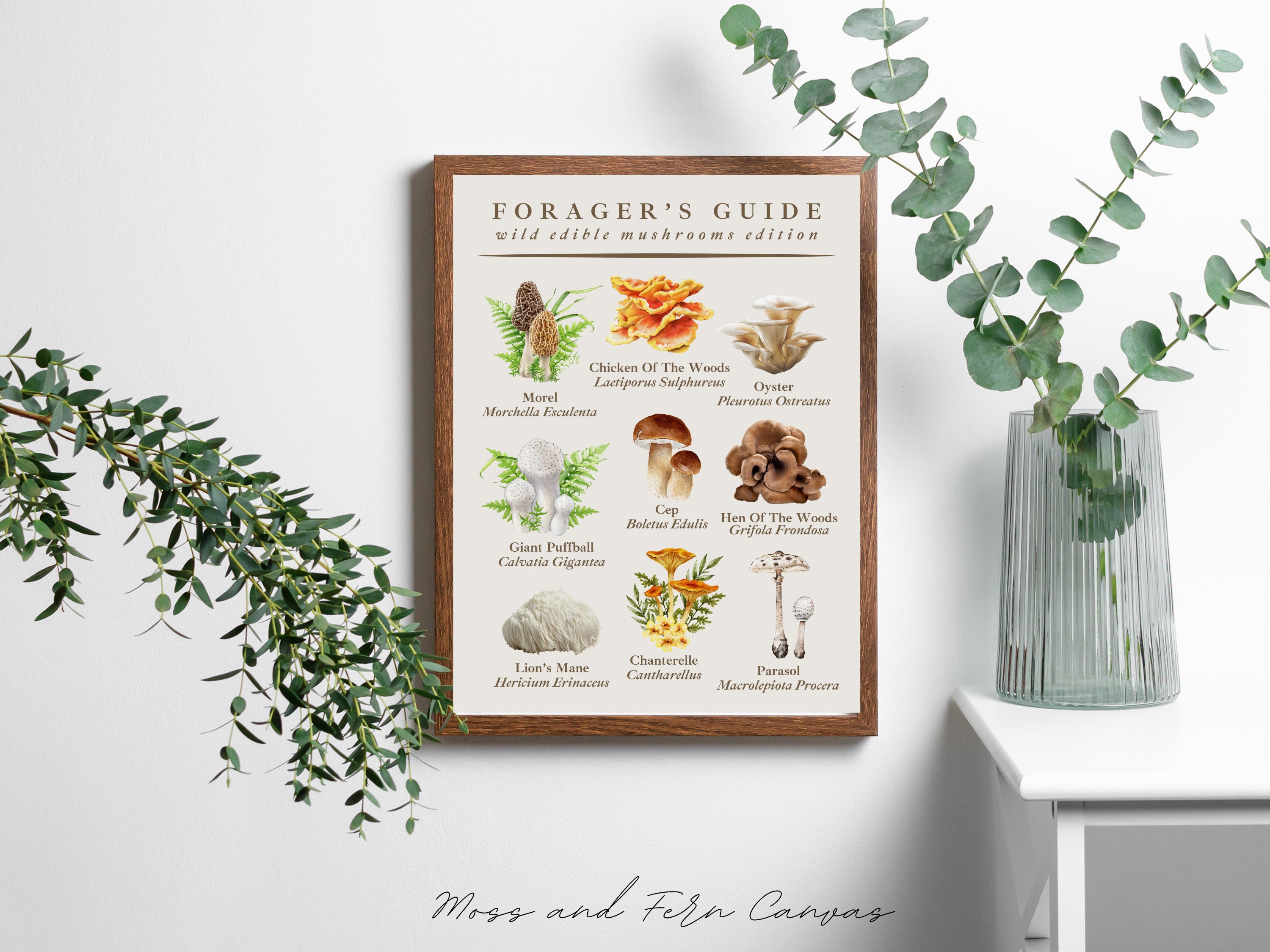 Printable Wild Edible Mushroom Poster, Botanical Poster, Foraging Art ...
