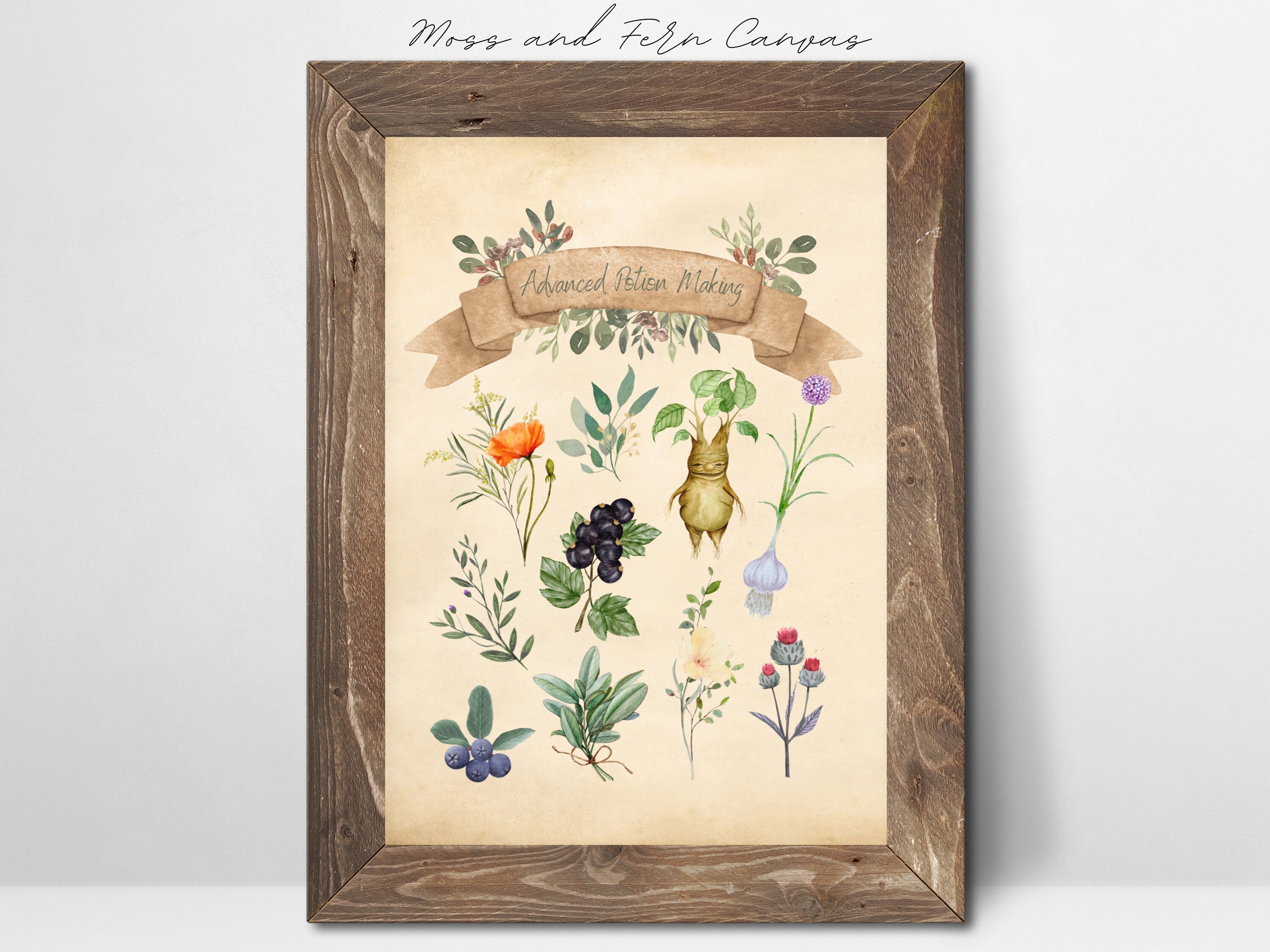 Printed Botanical Watercolor Poster, Advanced Potion Making, Herbology ...