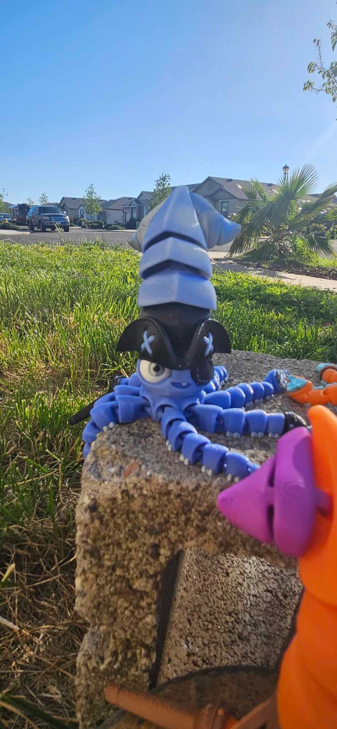 Pirate Squids Color Changing. - Etsy