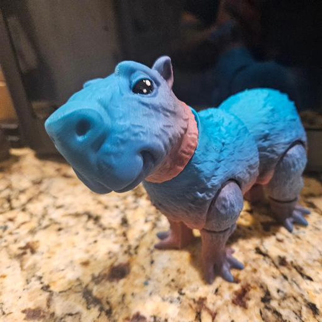 CAPYBARA With a Different Color Combo - Etsy