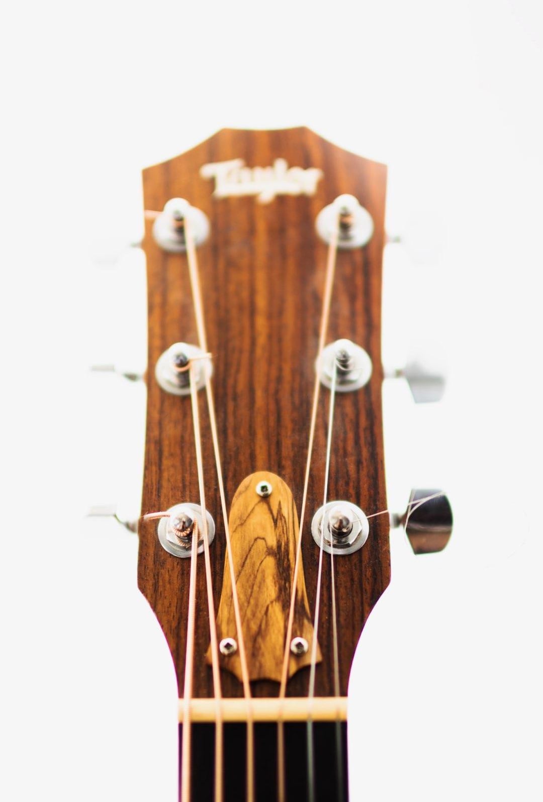 Exotic Wood Truss Rod Cover for Taylor Acoustic Guitar - Handmade With ...