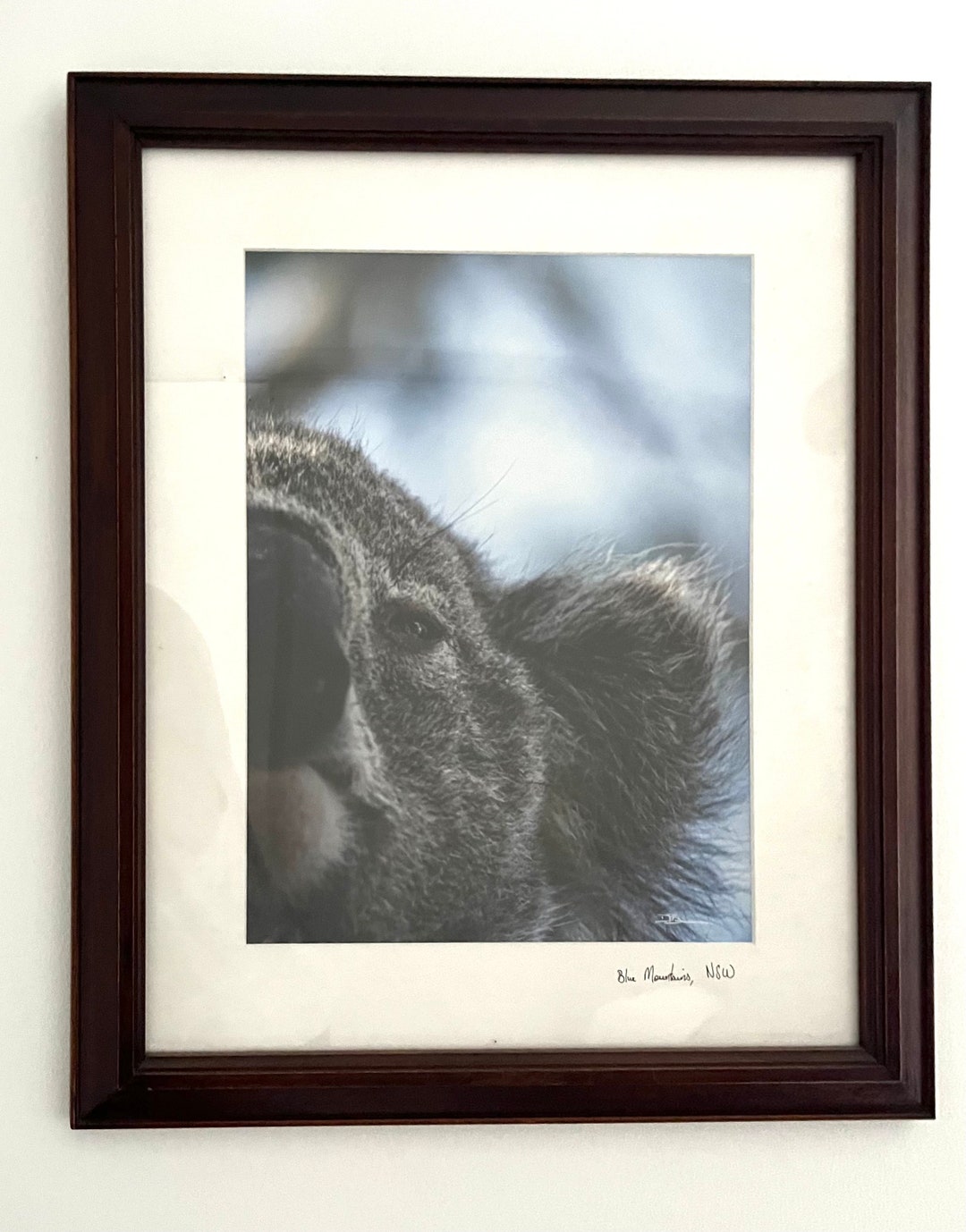 Koala Photo Set 1 of 2 in Upcycled Frame - Etsy