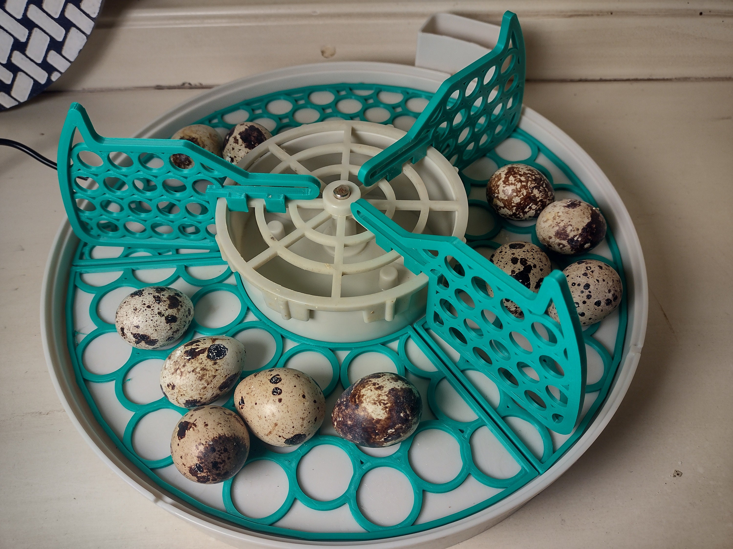 Kebonnixs Quail Hatching Dividers - STL Files to 3d Print at Home - Etsy