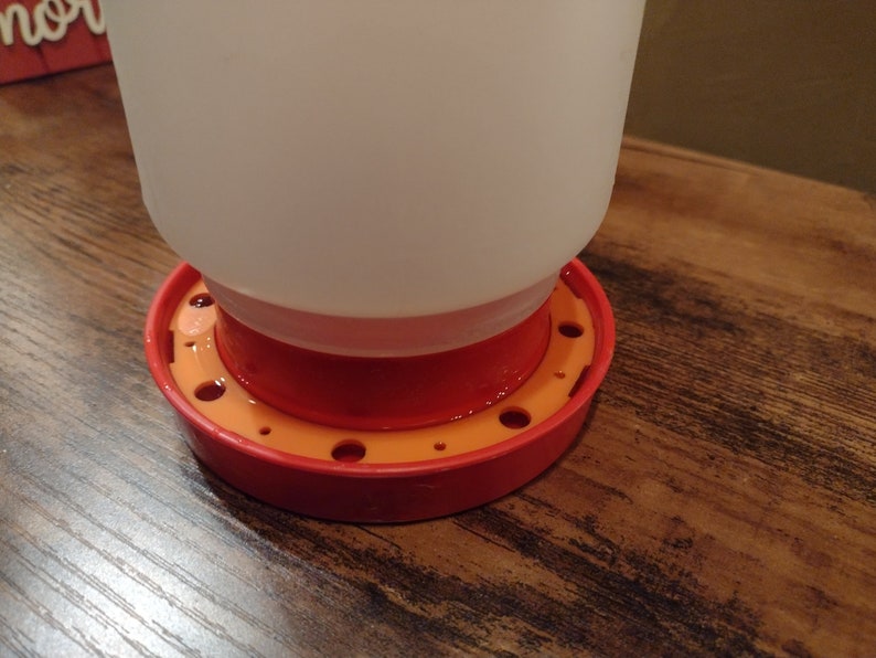 Quail Waterer Base Insert - 3D STL Files to Print at Home - Etsy