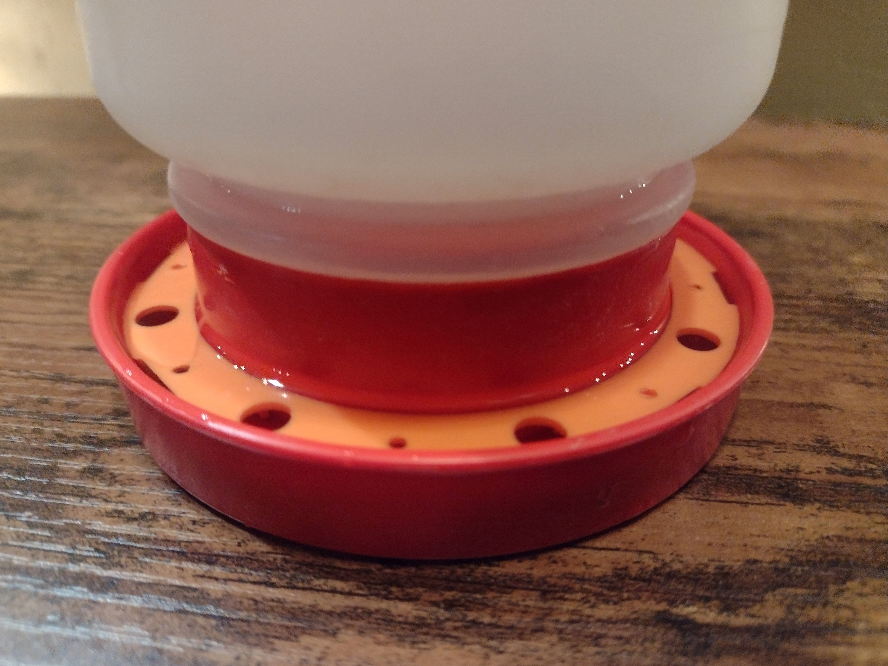 Quail Waterer Base Insert - 3D STL Files to Print at Home - Etsy