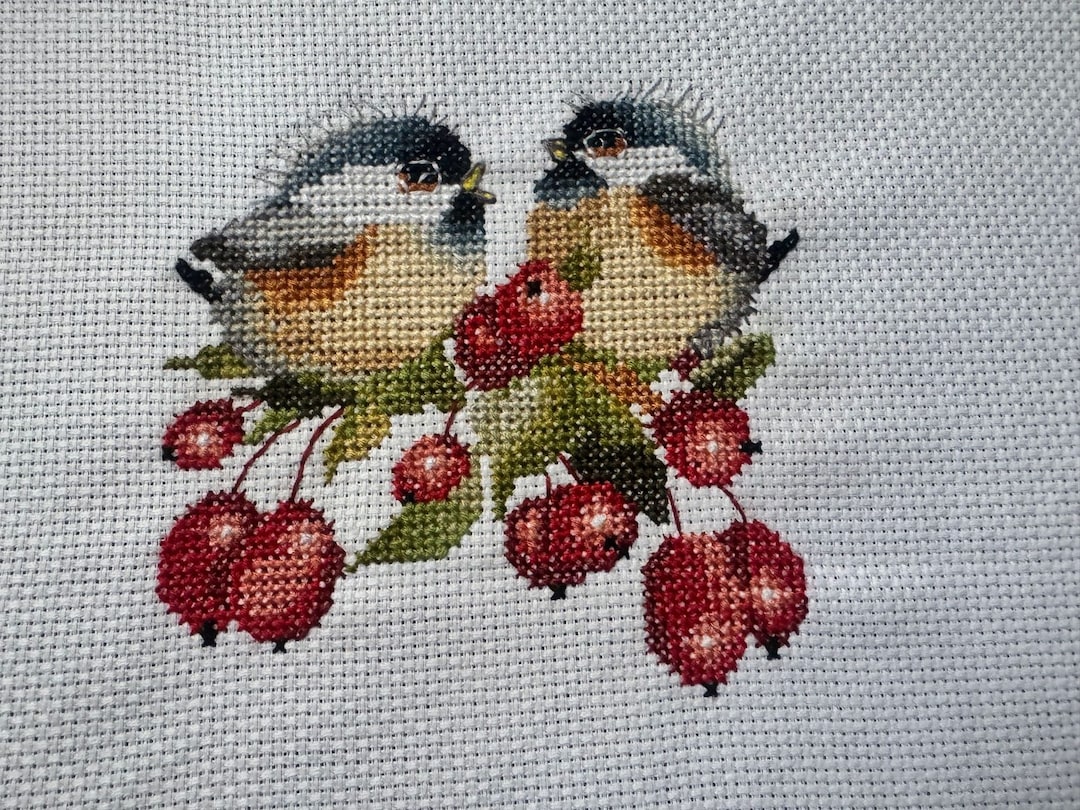 BRANK NEW Finished Completed Cross Stitch Berry Chat - Etsy