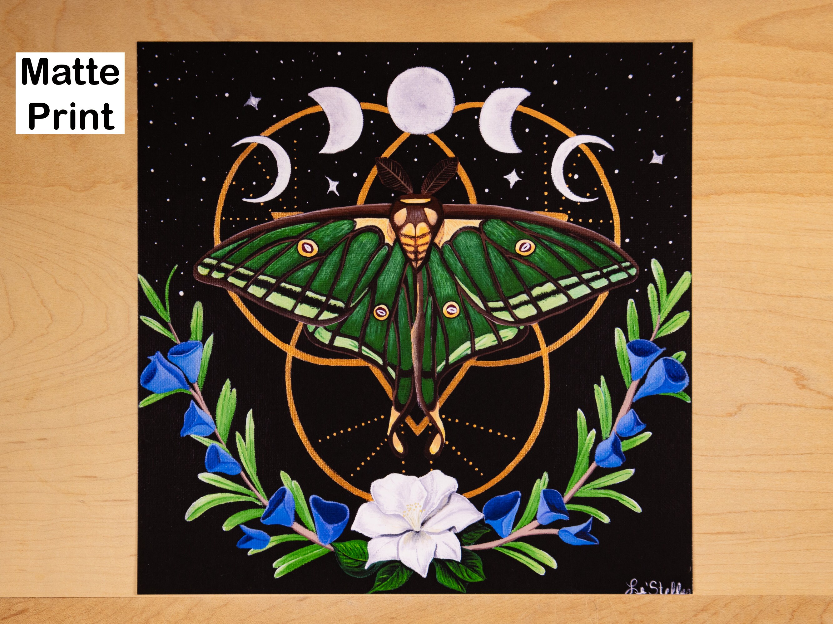 Original Moth Moon Phase Acrylic Painting, Spanish Moon Moth Artwork ...