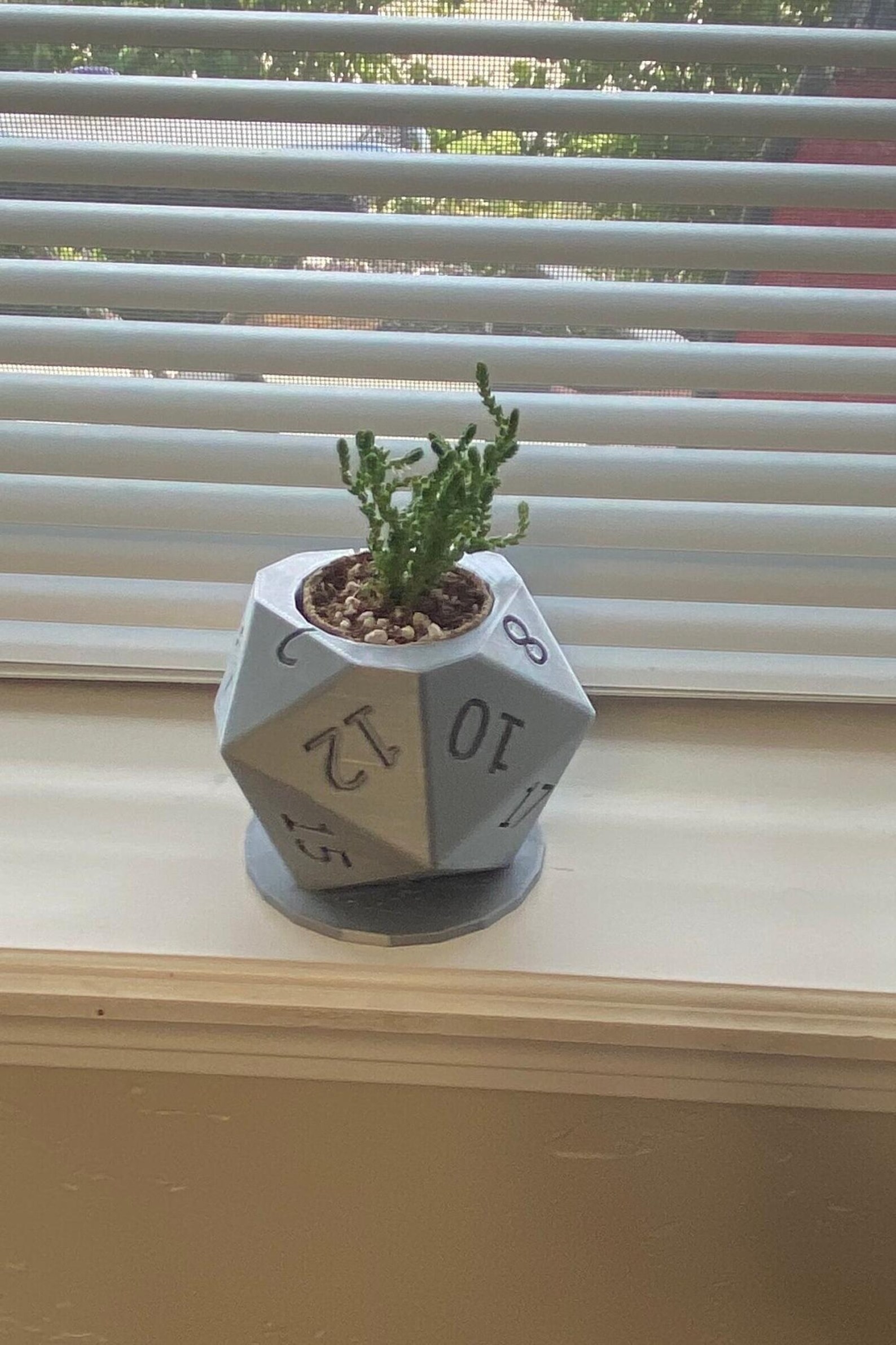 Succulent Planter, Geometric Tabletop Decor, Dungeons and Dragons ...