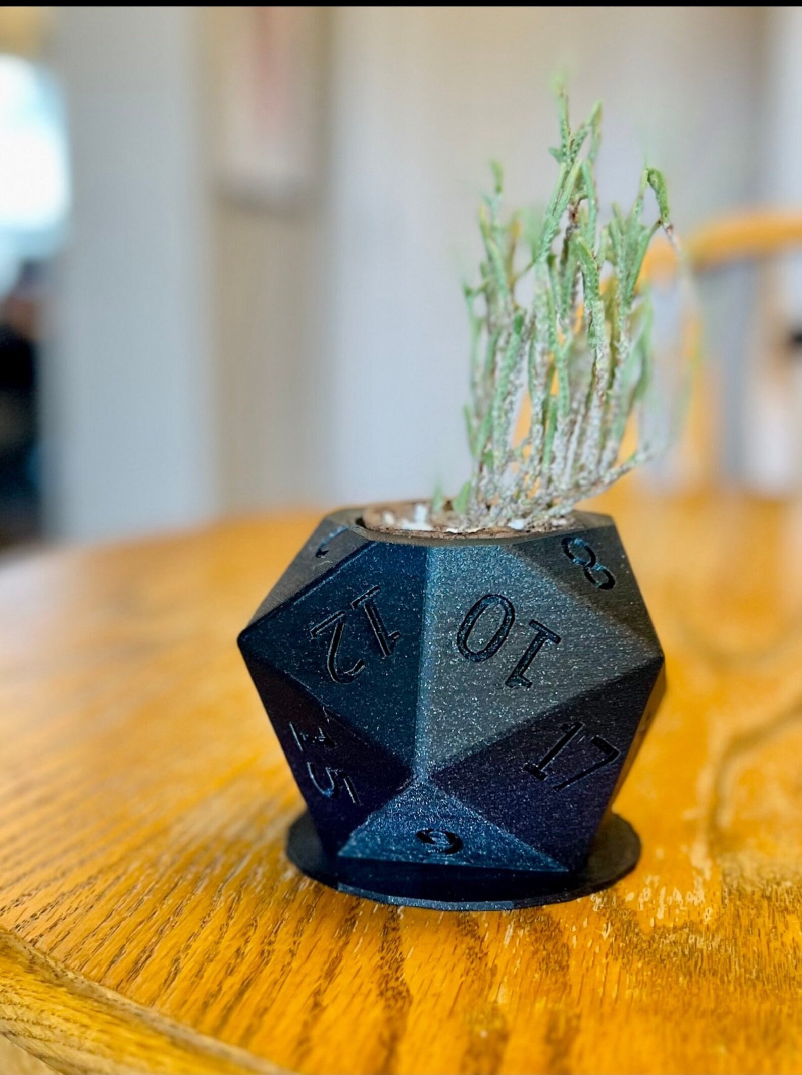 Succulent Planter, Geometric Tabletop Decor, Dungeons and Dragons ...