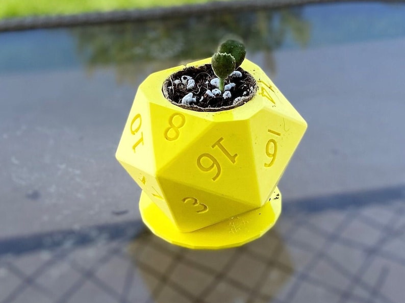 Succulent Planter, Geometric Tabletop Decor, Dungeons and Dragons ...