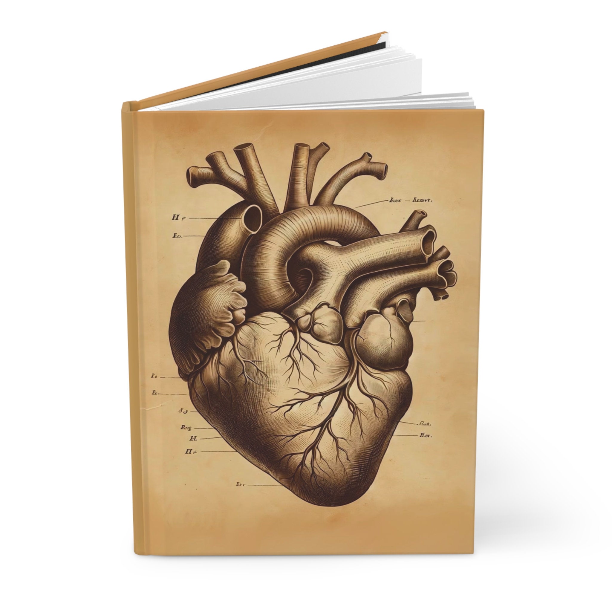 Anatomical Heart Vintage Hardcover Journal - Etsy