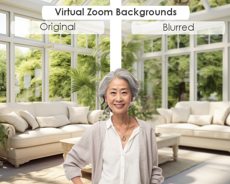 Sunroom Virtual Background for Zoom, Microsoft Teams, Facebook, Webex ...
