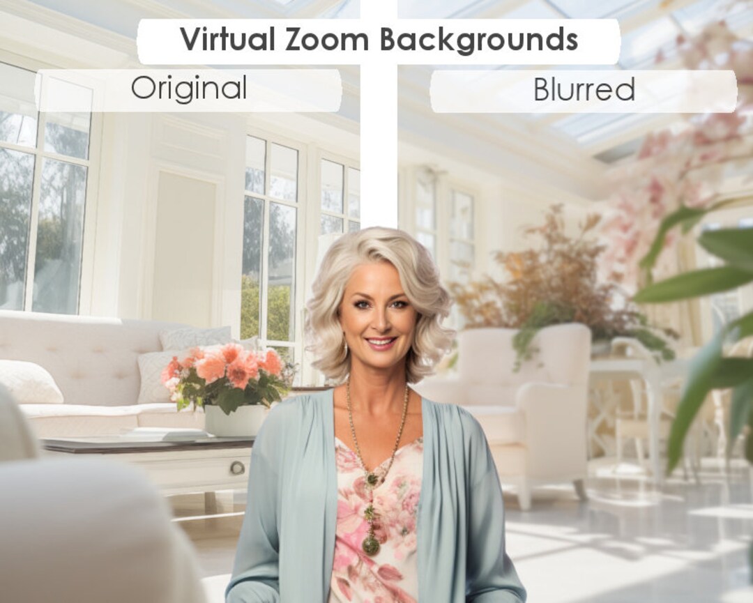 Sunroom Virtual Background for Zoom, Microsoft Teams, Facebook, Webex ...