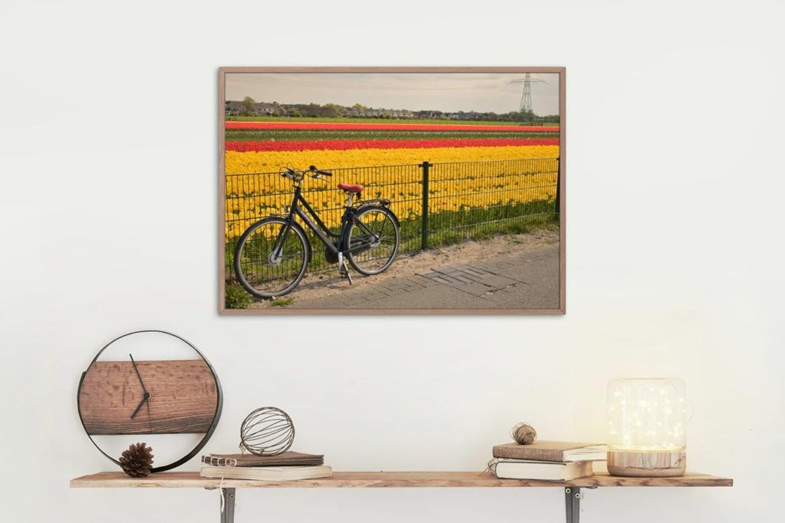 Rotterdam Tulip Fields, Netherlands - Etsy