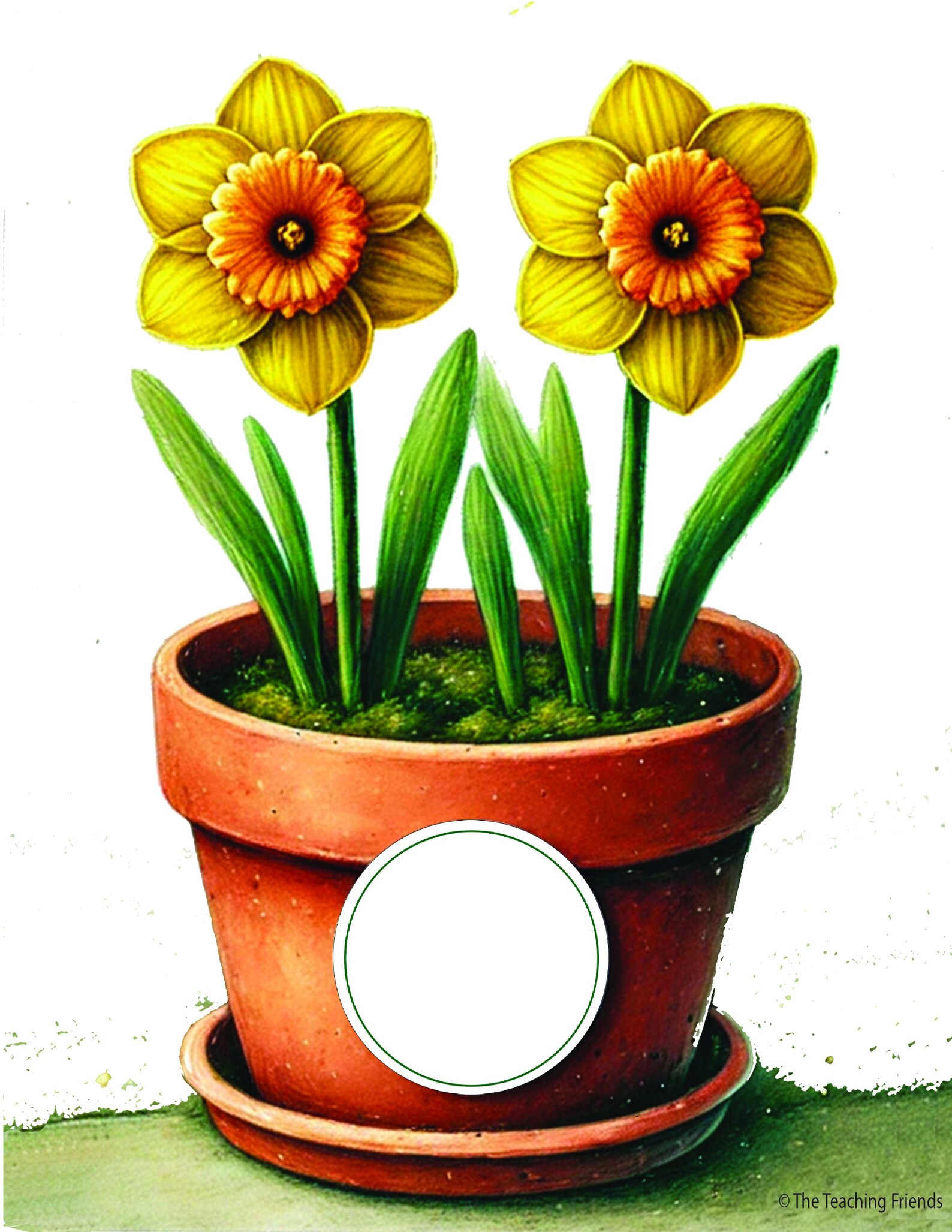 Spring Daffodil Counting Activity Math Game for Preschool Kindergarten ...