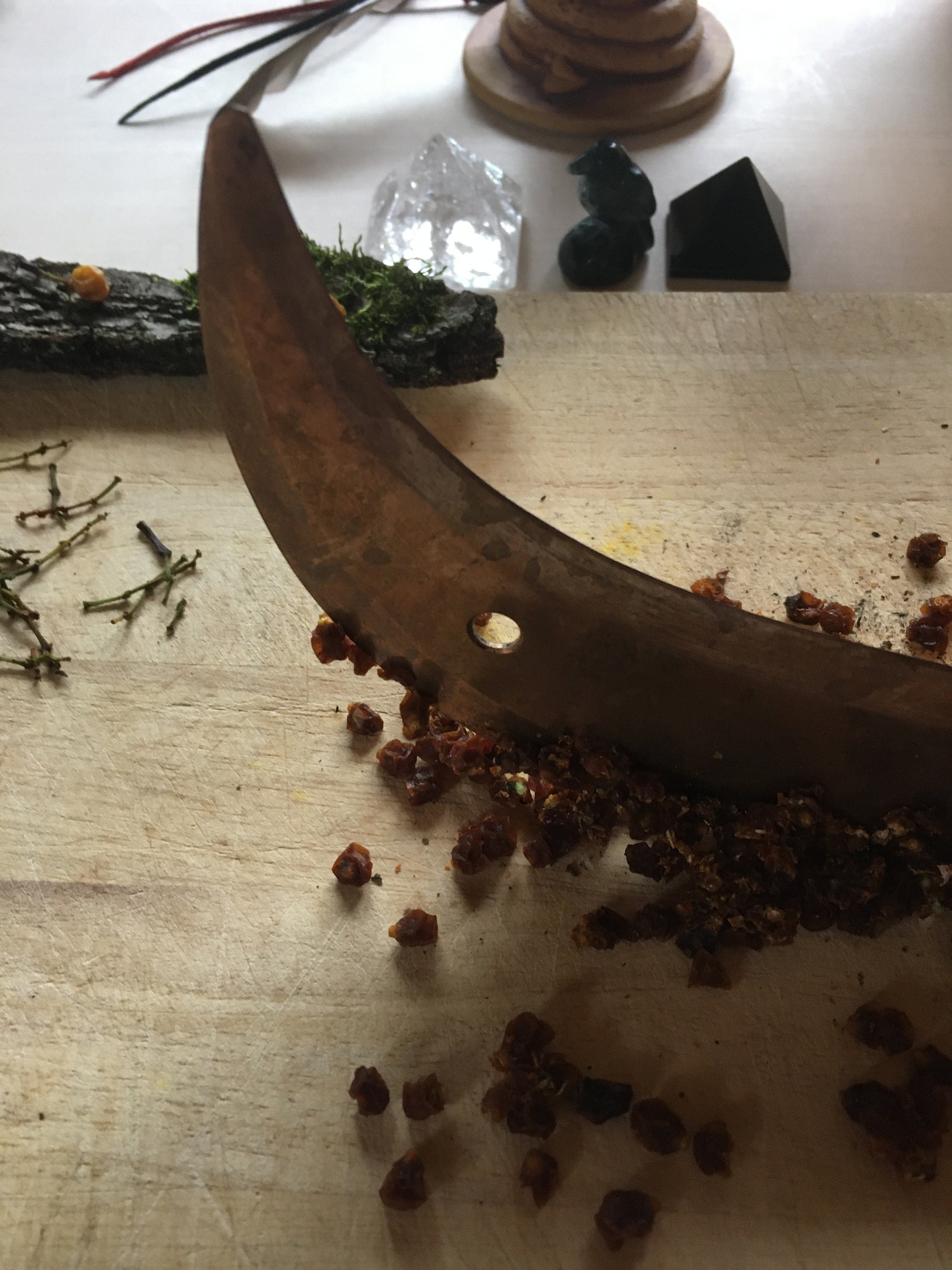 Oak Mistletoe Salt, Magical, Powerful, Rare, Rita Angela, W.ERD.VOLL ...