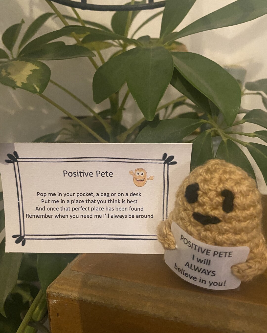 Positive Pete the Potato Cute Pocket Hug Gift Affirmation Motivational ...