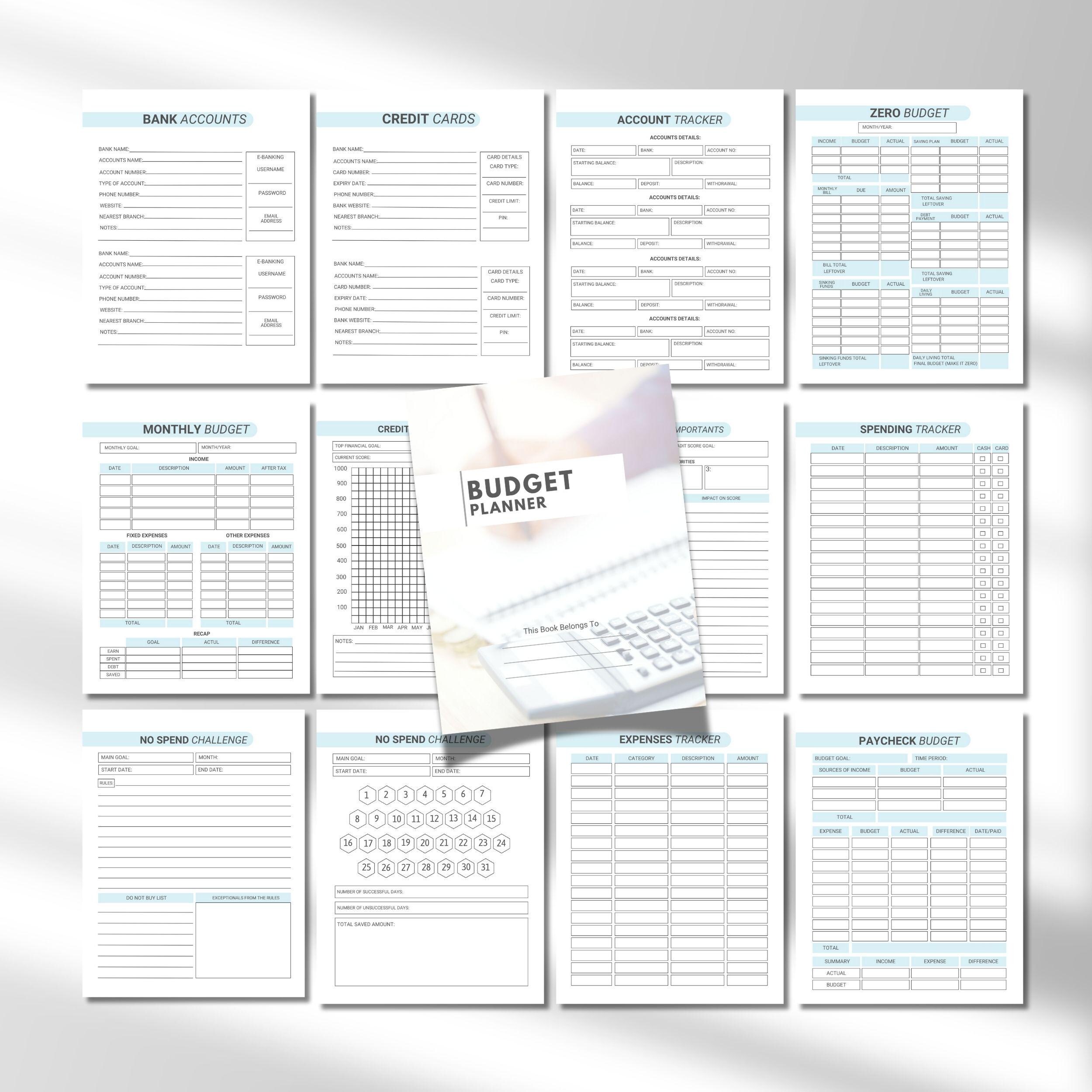 PLR Financial Planner Bundle, Savings Tracker, Debt Tracker, Budget ...