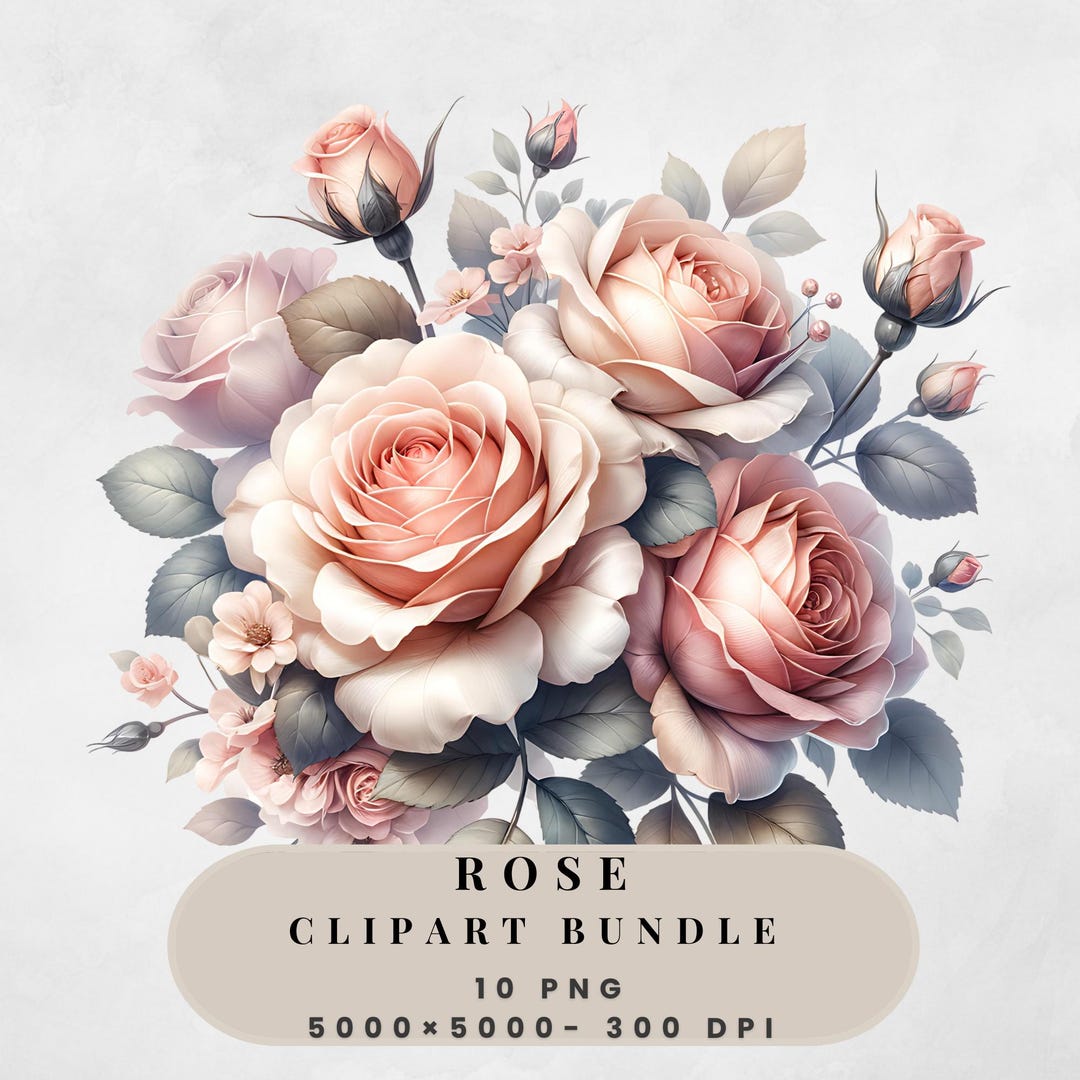 Rose Clipart Bundle , 10 Transparent Png , Digital Download ...