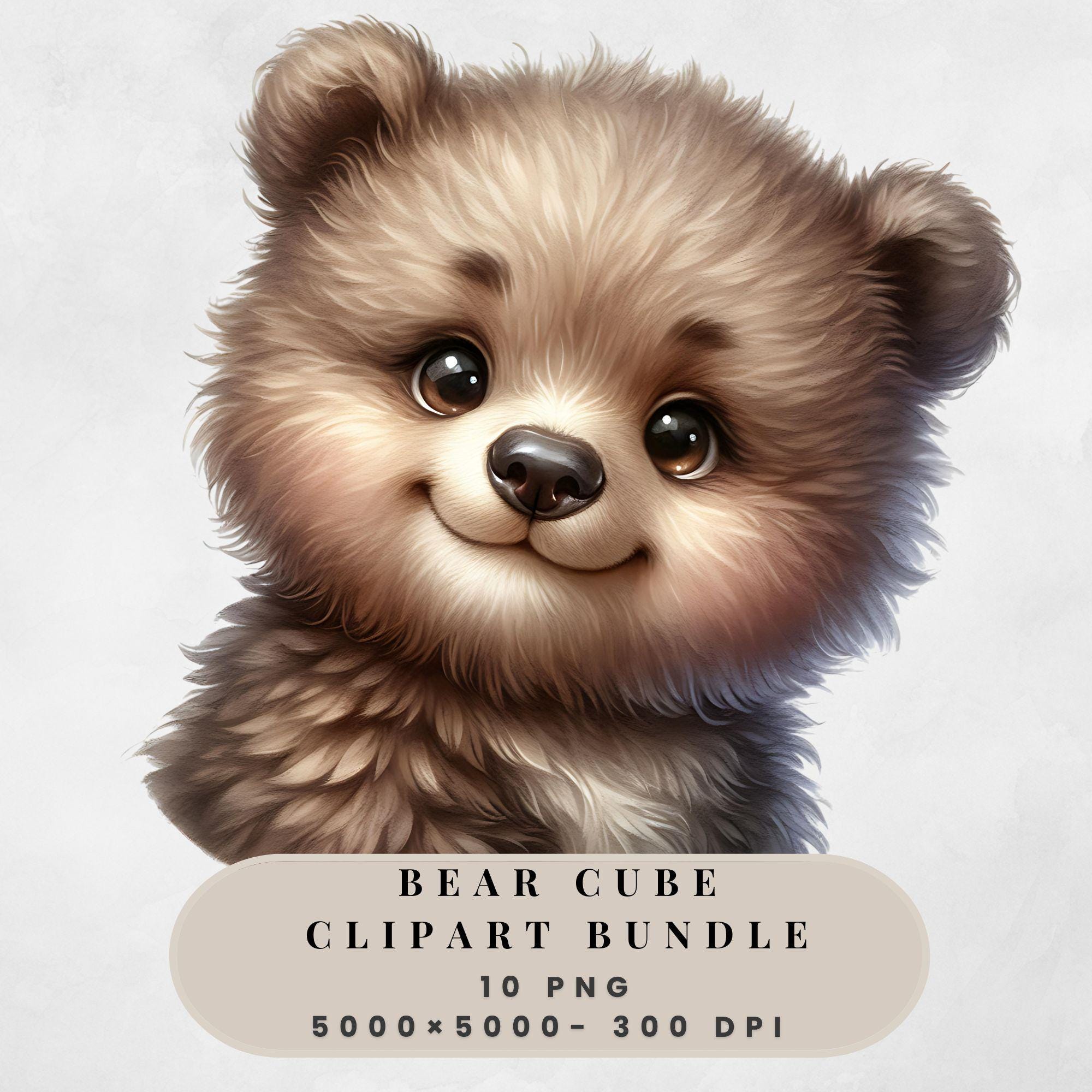 Bear Cube Clipart Bundle , 10 Transparent Png , Digital Download ...