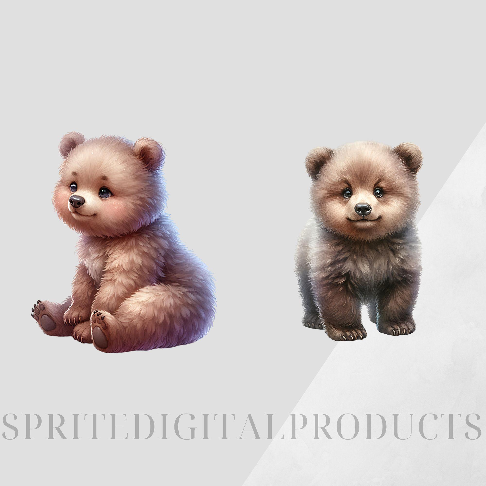 Bear Cube Clipart Bundle , 10 Transparent Png , Digital Download ...