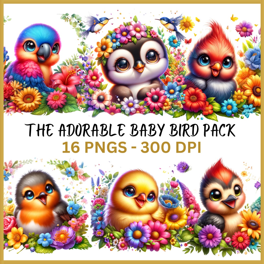 Spring Baby Bird Clipart Bundle – Cute Chicks & Floral Owls PNG ...