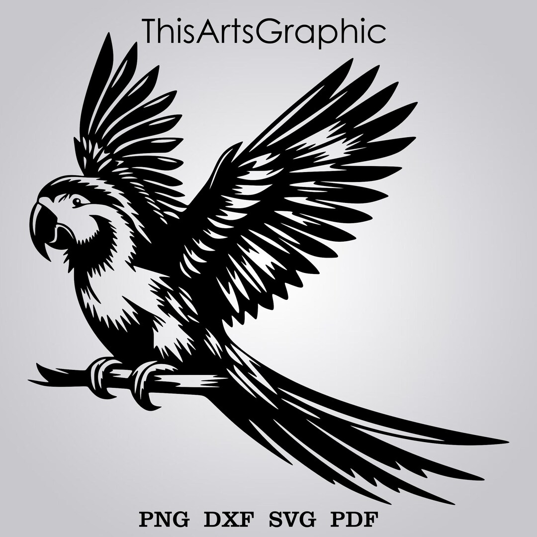 Parrot Svg, Exotic Bird Svg, Macaw Svg, Silhouette Dxf, Cricut Svg ...