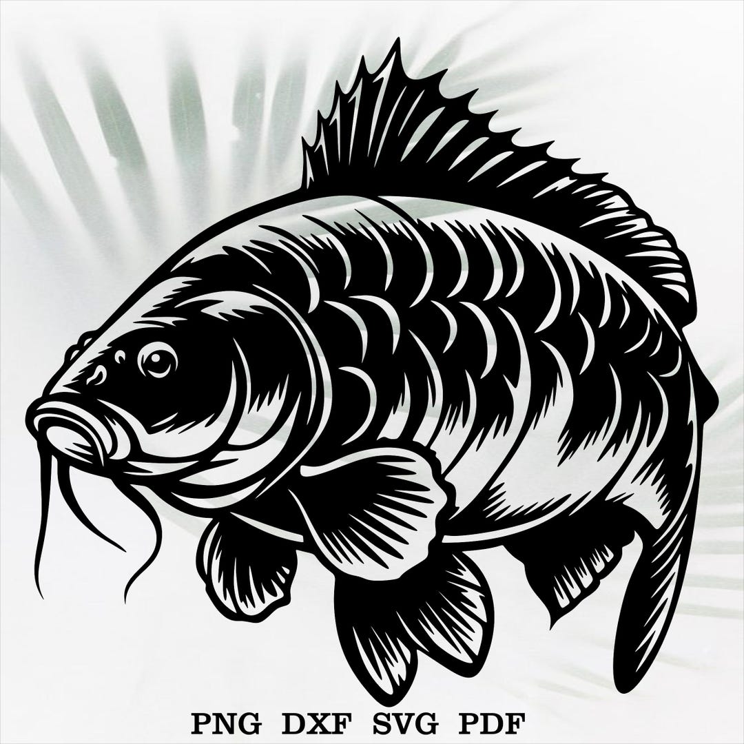 Carp SVG: Fishing Clipart, Game Fish Vector (digital Files) - Etsy
