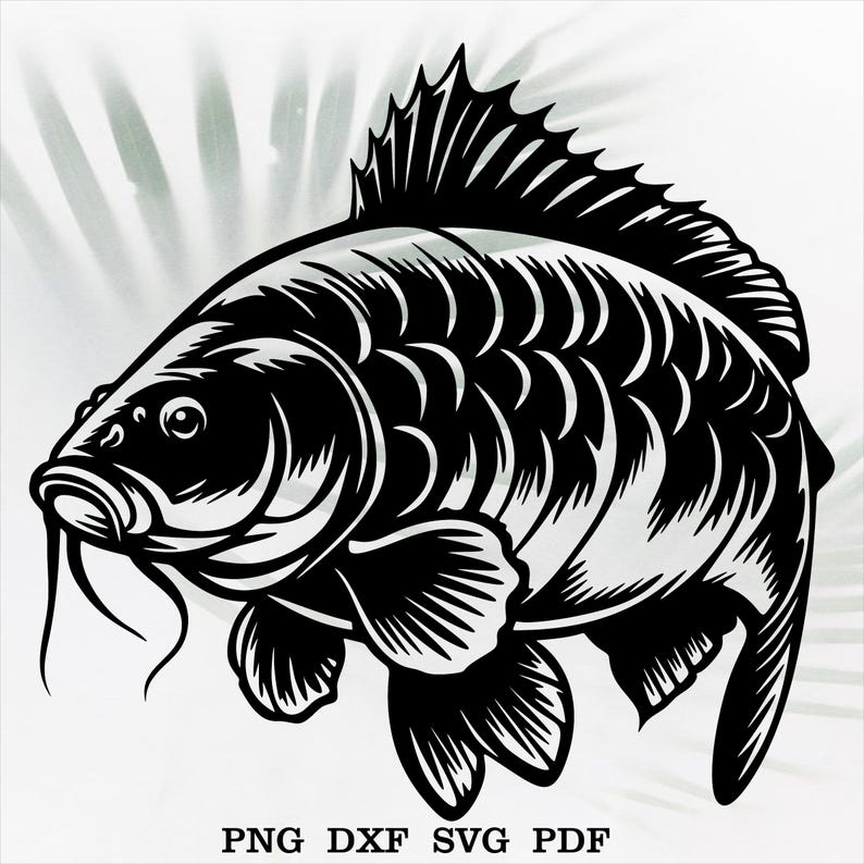 Carp SVG: Fishing Clipart, Game Fish Vector (digital Files) - Etsy