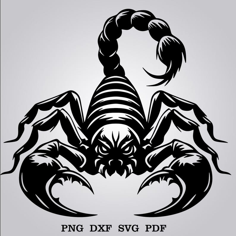 Scorpion Vector Art: Cut Files for Cricut, Silhouette (digital Download ...