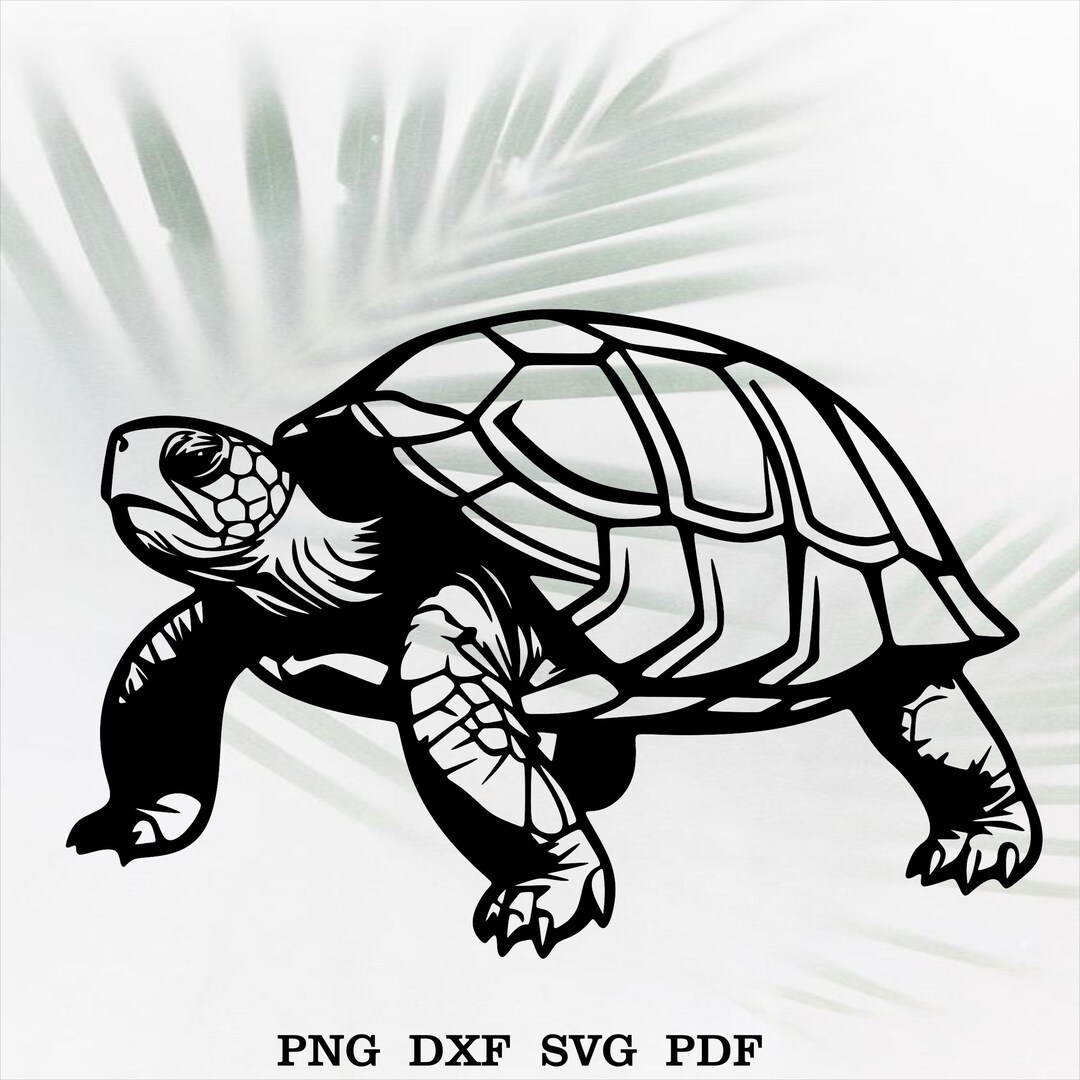 Steppe Tortoise SVG: Funny Turtle Clipart, Cut File (digital Download ...