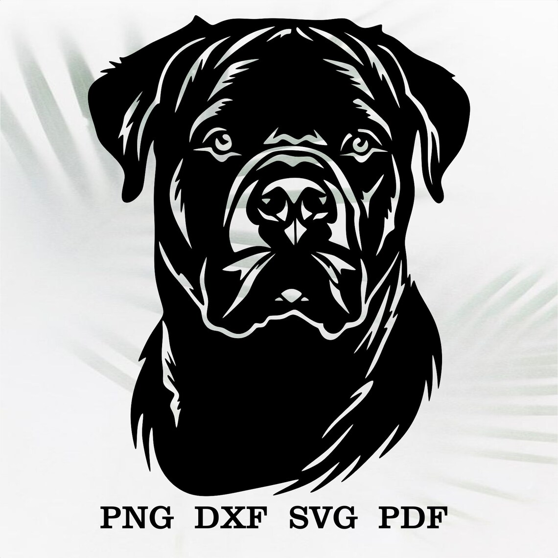 Rottweiler SVG, Silhouette Dxf, Dog SVG Files for Cricut, Clipart, Png ...