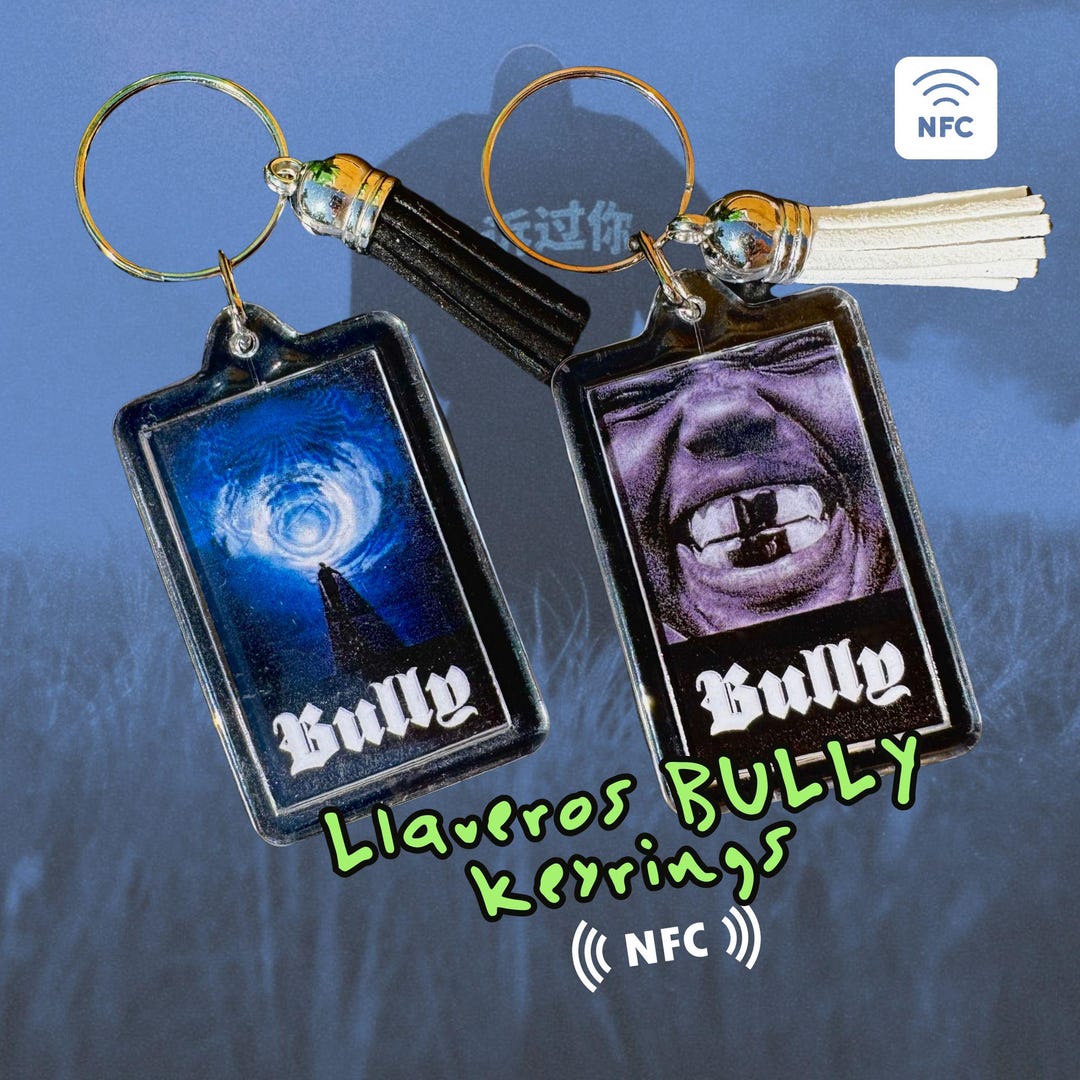 Pack of 2/3 BULLY / MBDTF (kanye West) Keychains | NFC Tag (optional ...