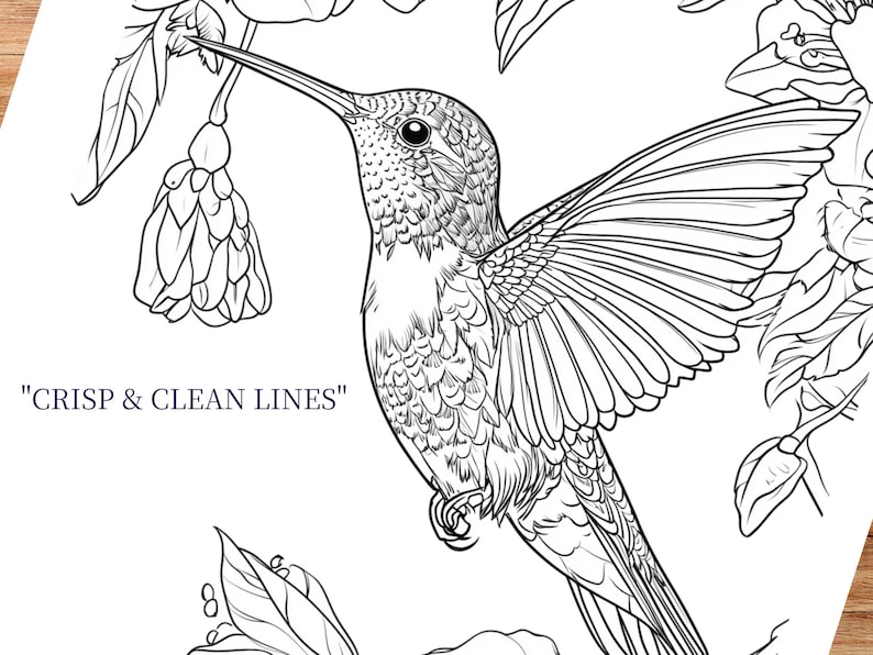 Mindfulness Bird Adult Coloring Pages, Vol 2, Hummingbird, Flamingo ...