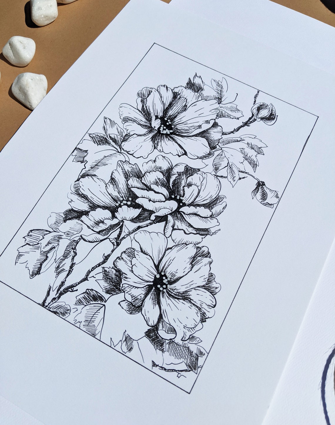 Flower Ink Drawing, Original Art, Hand Drawn by Flowers, Black and ...