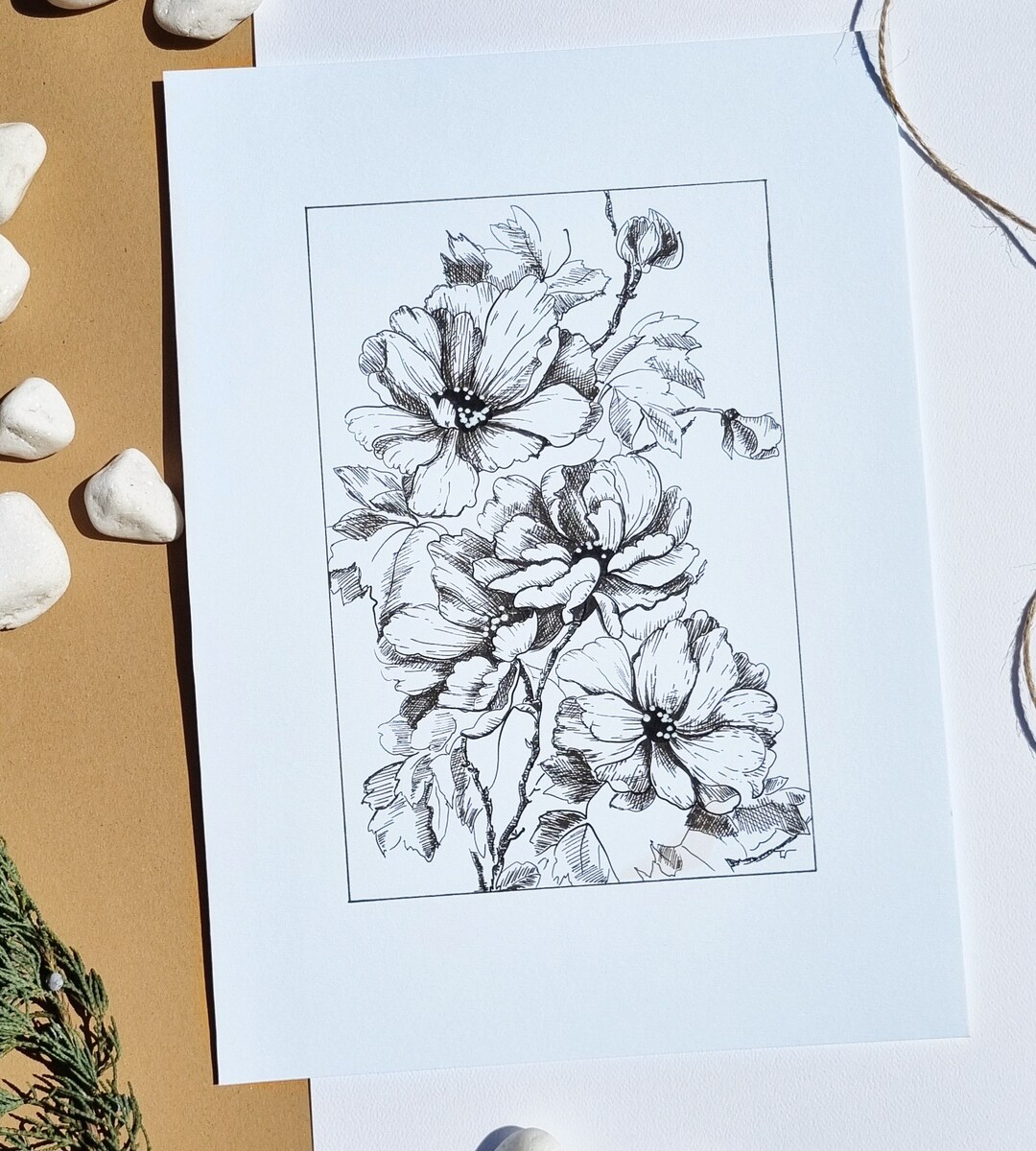 Flower Ink Drawing, Original Art, Hand Drawn by Flowers, Black and ...