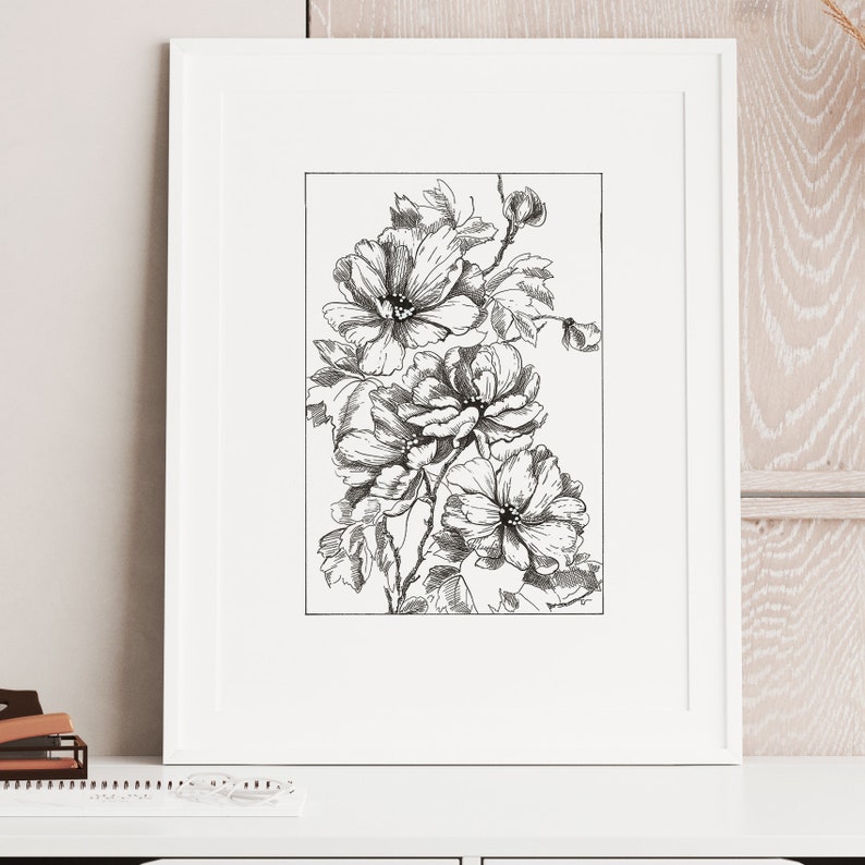 Flower Ink Drawing, Original Art, Hand Drawn by Flowers, Black and ...