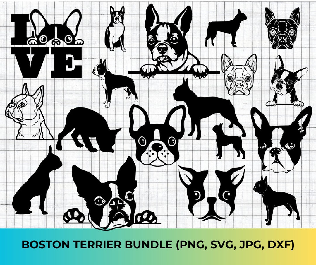 Boston Terrier SVG Bundle: Dog Clipart for Cricut (digital Download) - Etsy