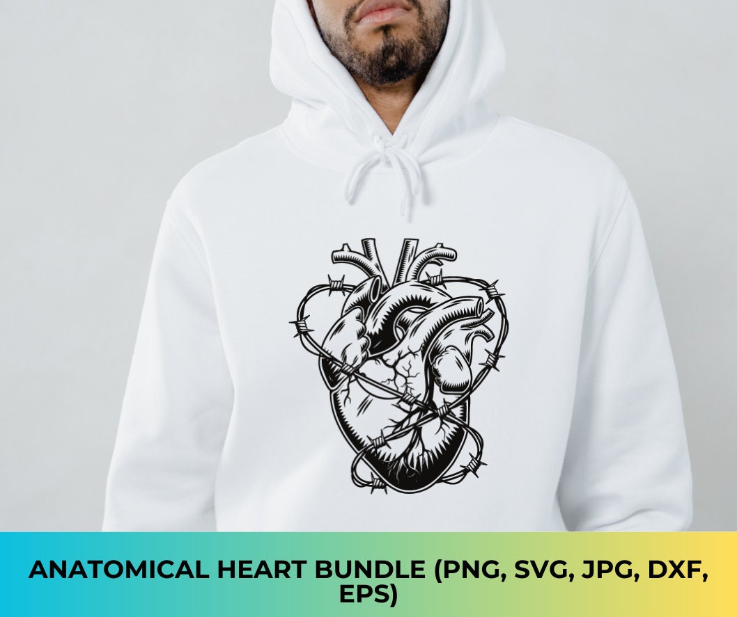 Anatomical Heart Bundle SVG, Heart SVG, Human Heart Clip Art, Heart ...