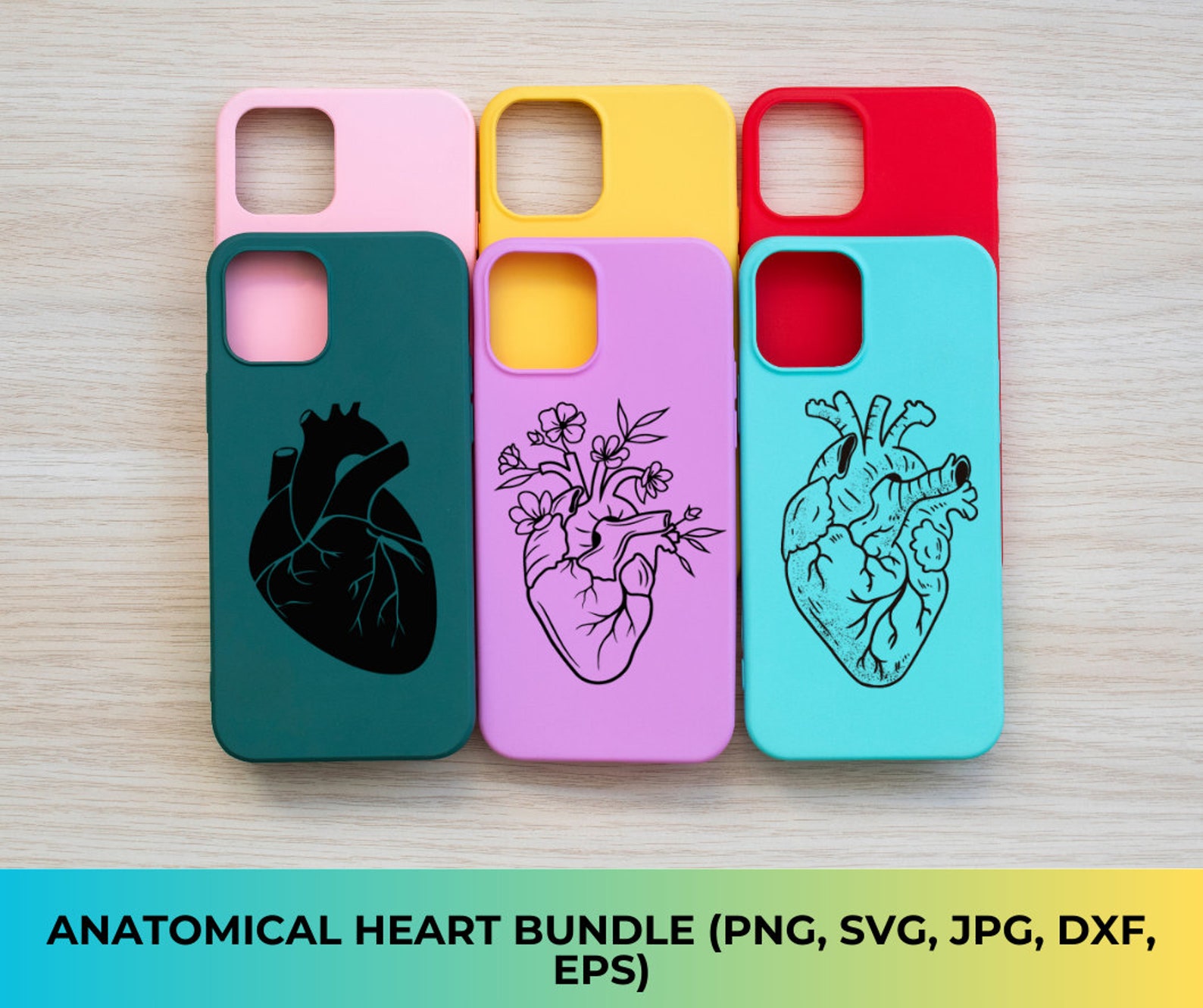 Floral Anatomical Heart SVG Bundle: Human Heart Vector, Clip Art ...