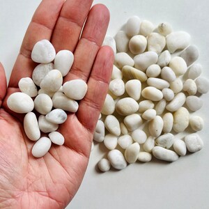 Set of 40 White Quartz Small Beach Pebbles, for Pebble Art and Crafts ...