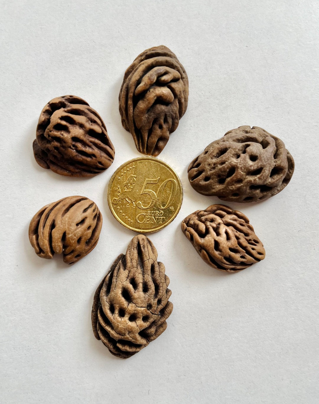 Set of 6 Driftwood Peach Pits Halves for Crafting, Natural Supplies - Etsy