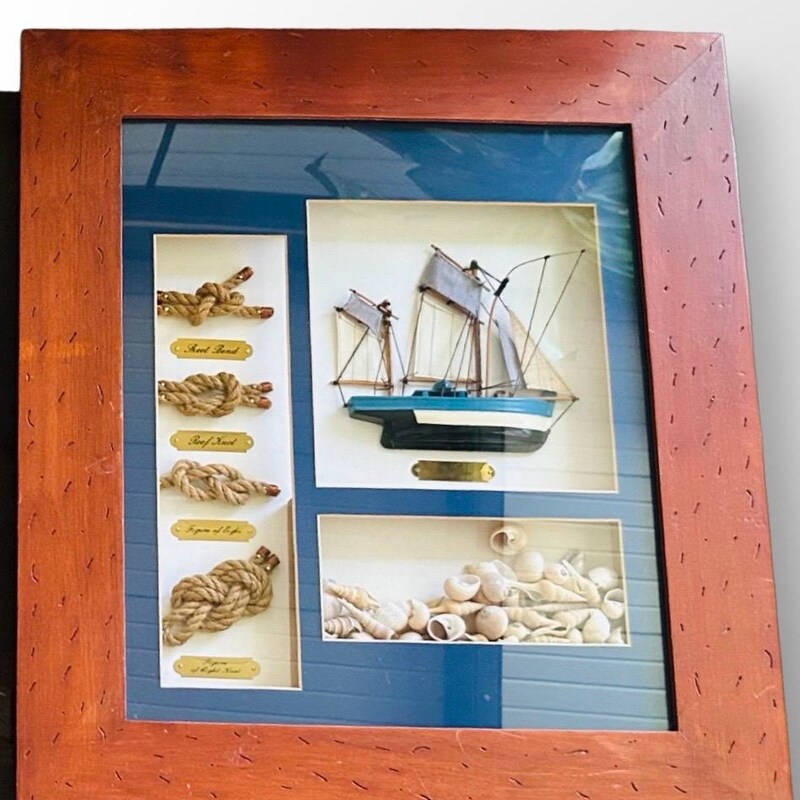Seashell Shadow Box - Etsy