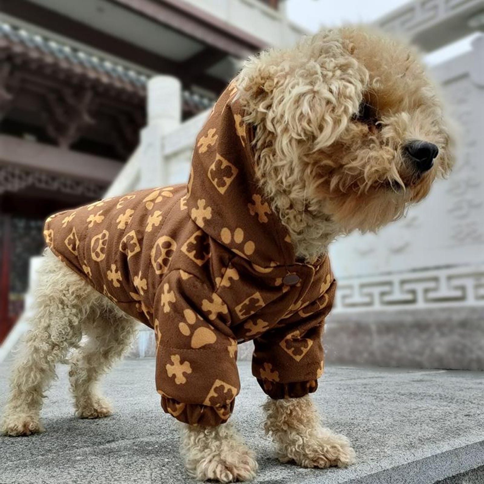 Stylish Pet Coat, Cozy Dog Jacket With Paw Print Pattern, Warm Hooded ...