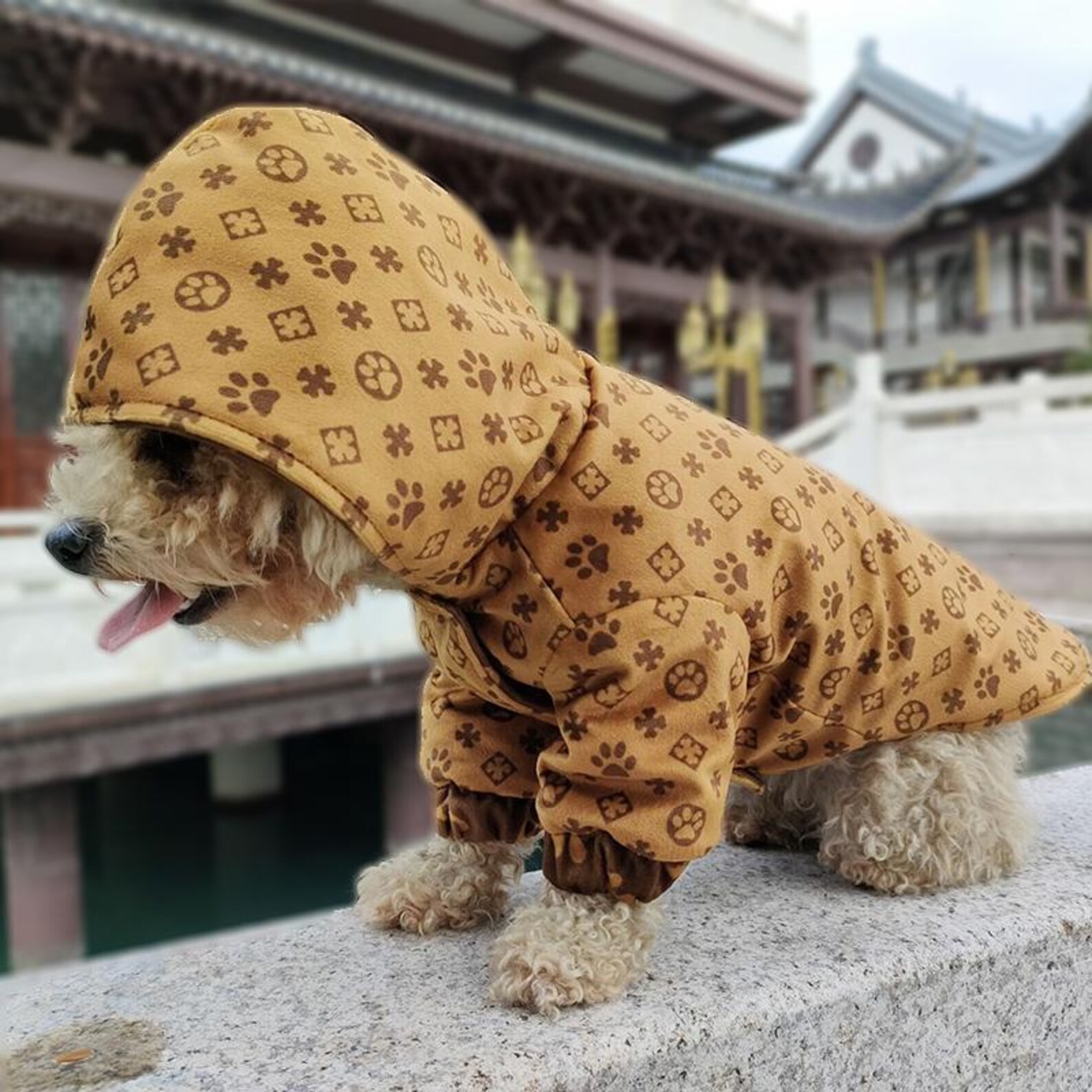 Stylish Pet Coat, Cozy Dog Jacket With Paw Print Pattern, Warm Hooded ...