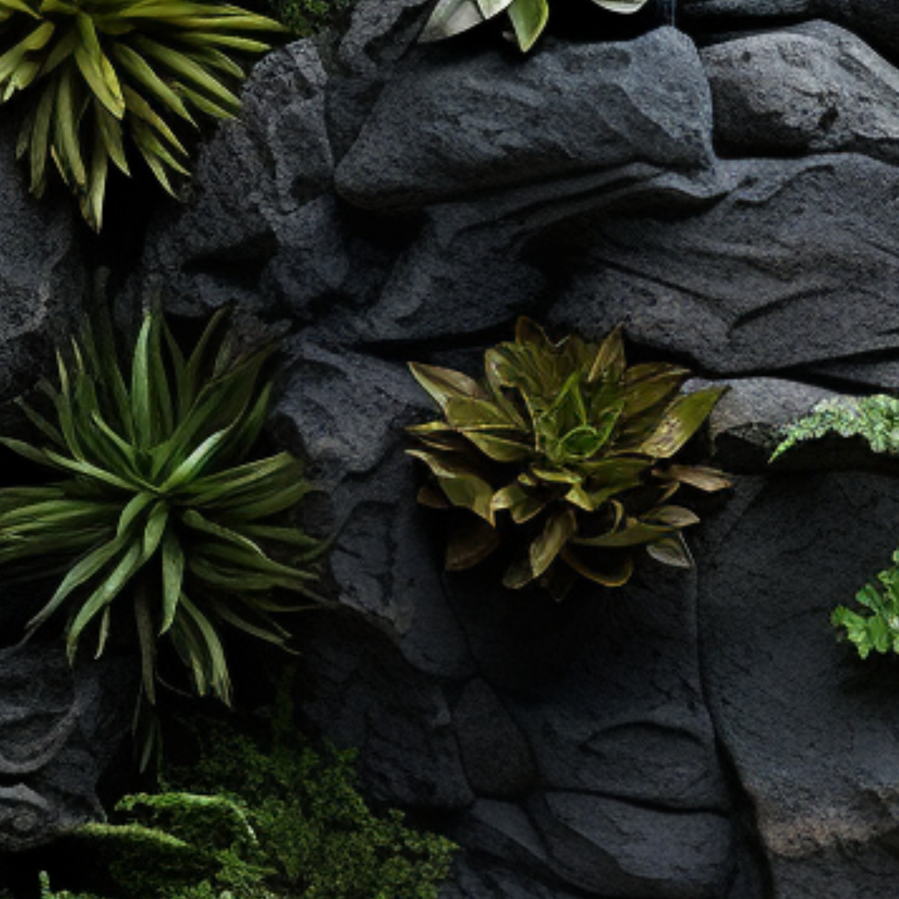 Volcanic Rocks With Green Plants Printable - Nature's Harmony, Wall Art ...