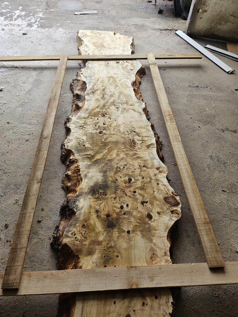 Natural Mappa Burl One Piece Wood Slab: Live Edge Rustic Lumber for ...