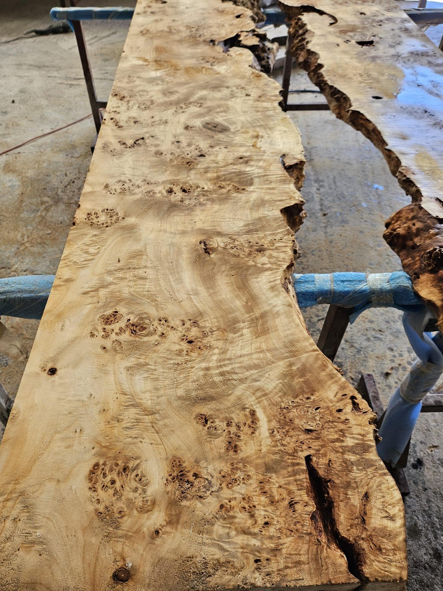 Natural Mappa Burl Wood Slab: Live Edge Rustic Lumber for Epoxy Tables ...