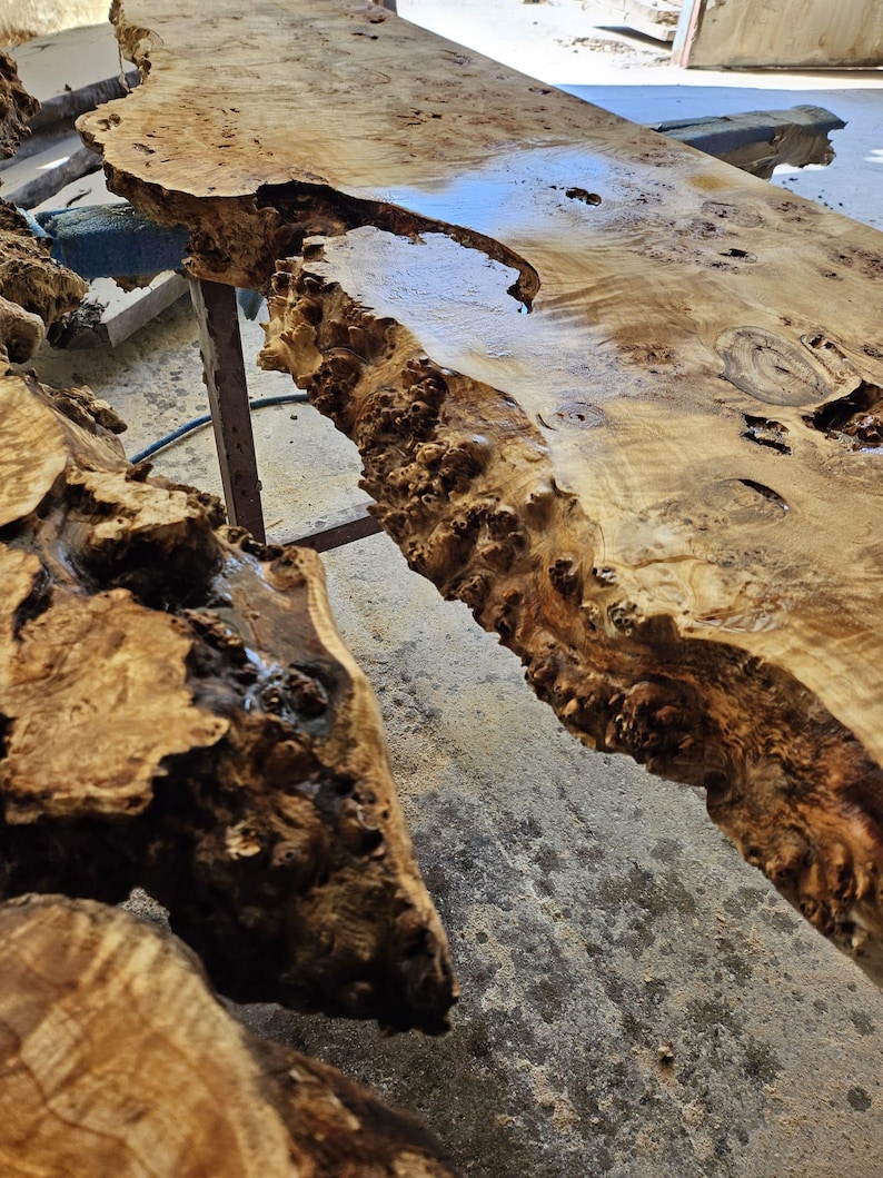 Natural Mappa Burl Wood Slab: Live Edge Rustic Lumber for Epoxy Tables ...